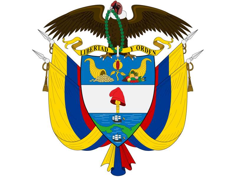 El cóndor de los andes: ave nacional y símbolo patrio | Señal Colombia